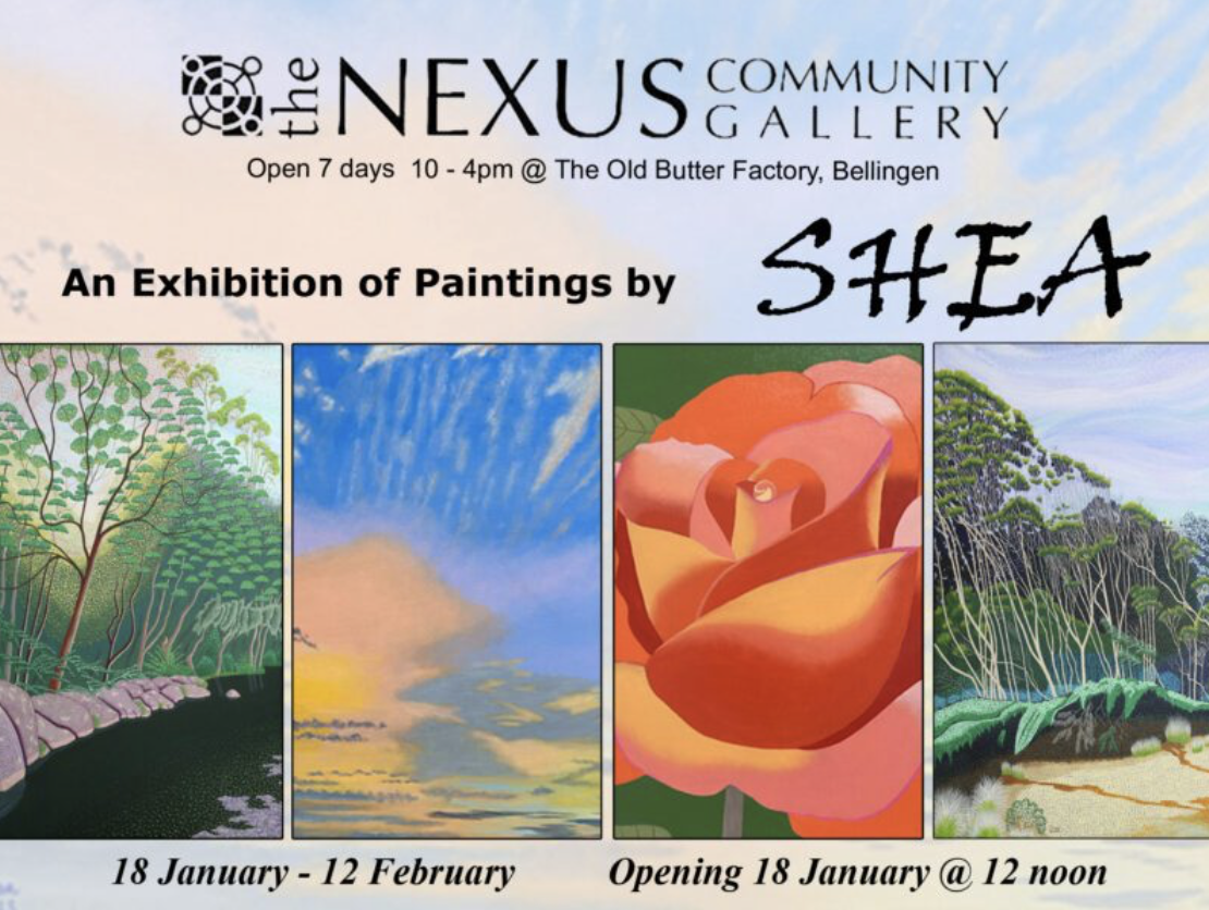 Shea Nicholas at Nexus Bellingen - 2 Triple B FM